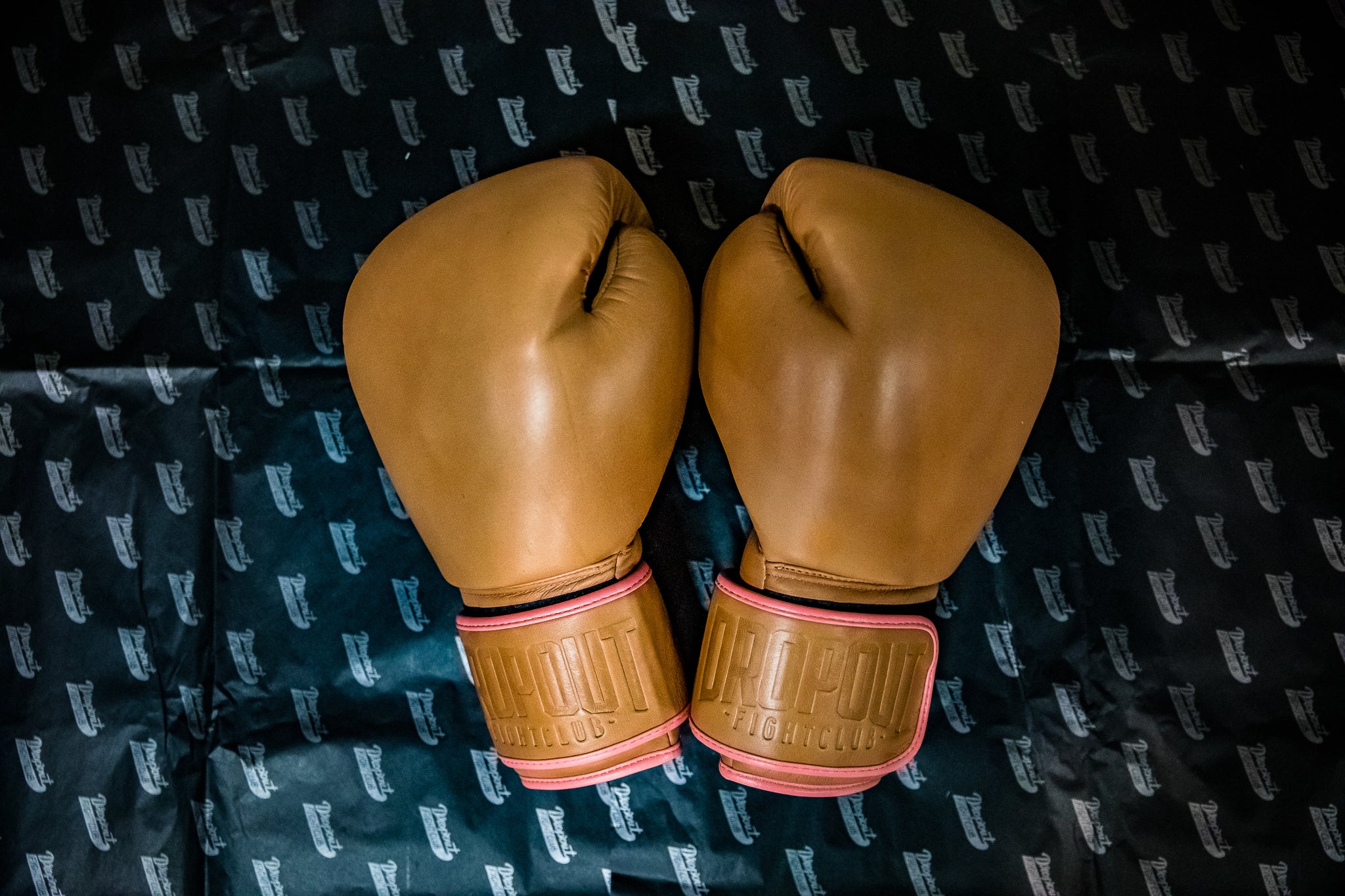 Boxing Gloves – Dropout Fight Club